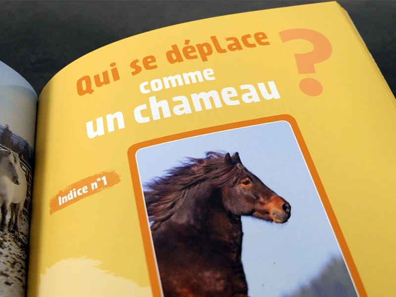 Collection « Défis nature, Mon doc nature » (Fleurus) – Jooniz