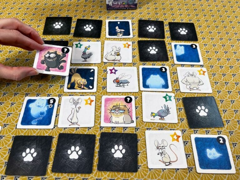 Chats de poche Lumberjacks – Jooniz