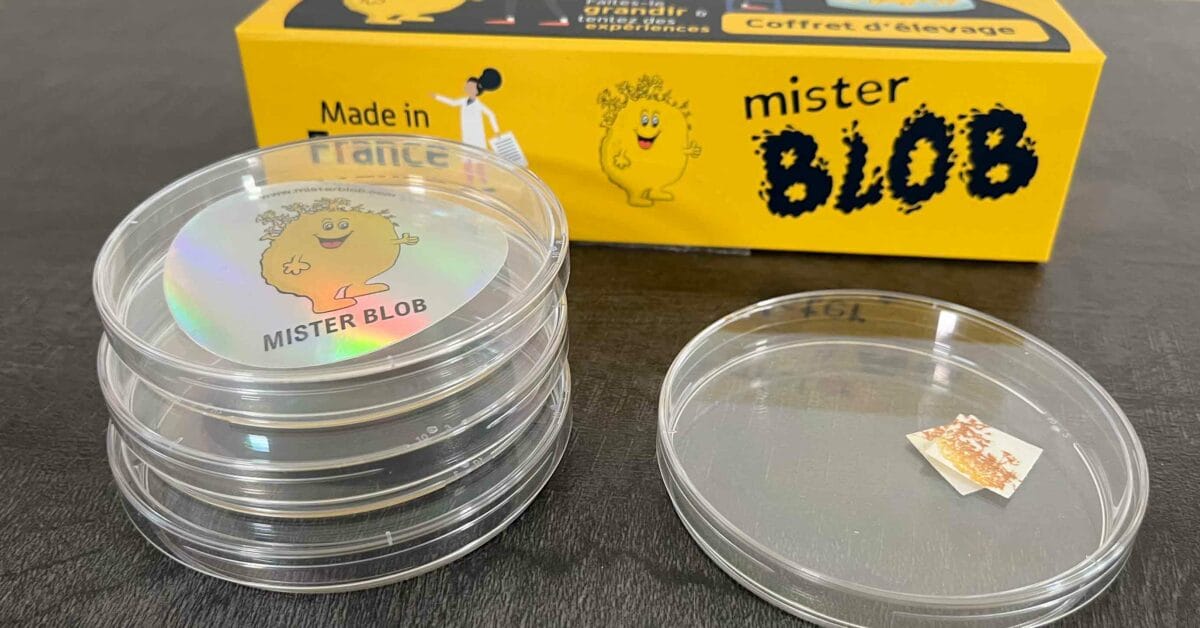 Blob kit enfant – Jooniz